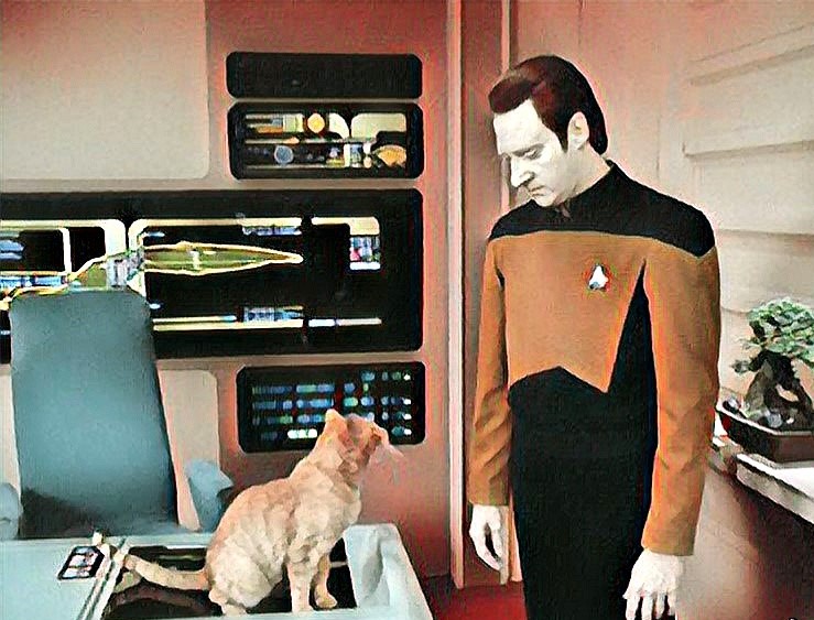 “What’s a Tuesday?”: Data’s Day (TNG) vs. Calypso (Short Treks) – Trek ...